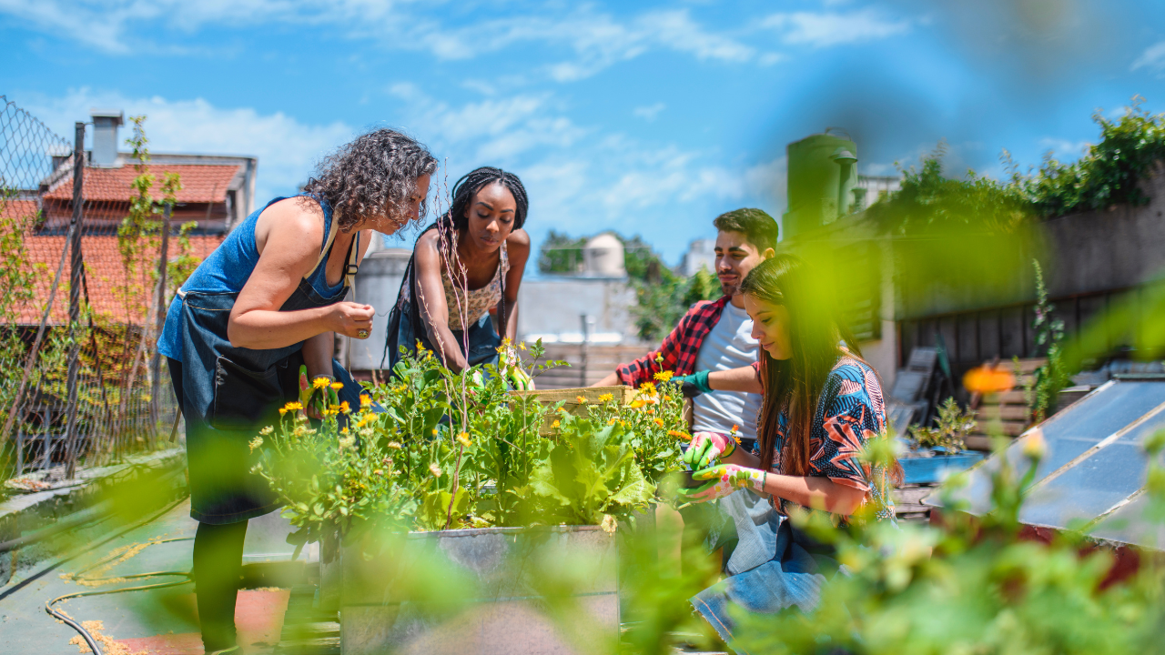The Power of Community Engagement in Sustainable Living.